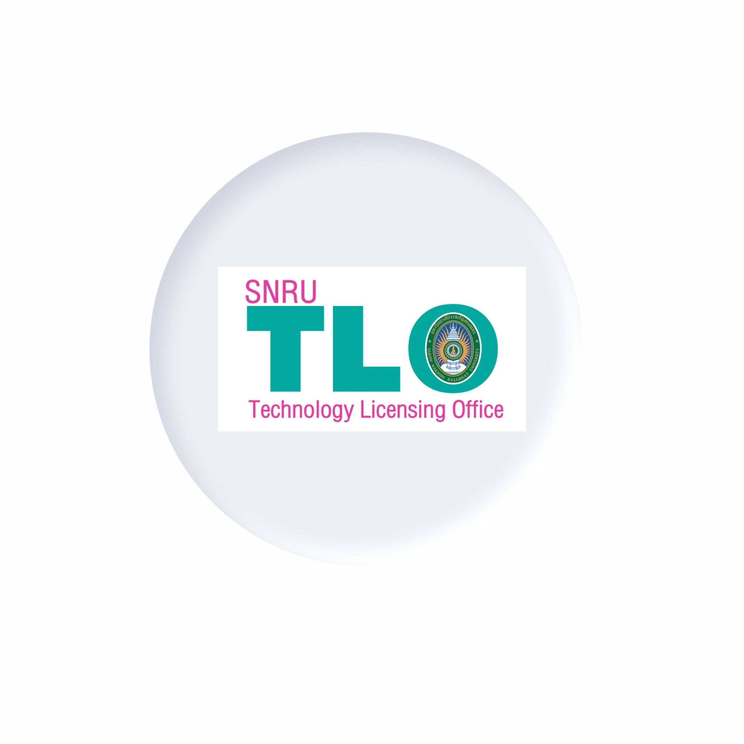 RDI PR (19) – RDI-SNRU