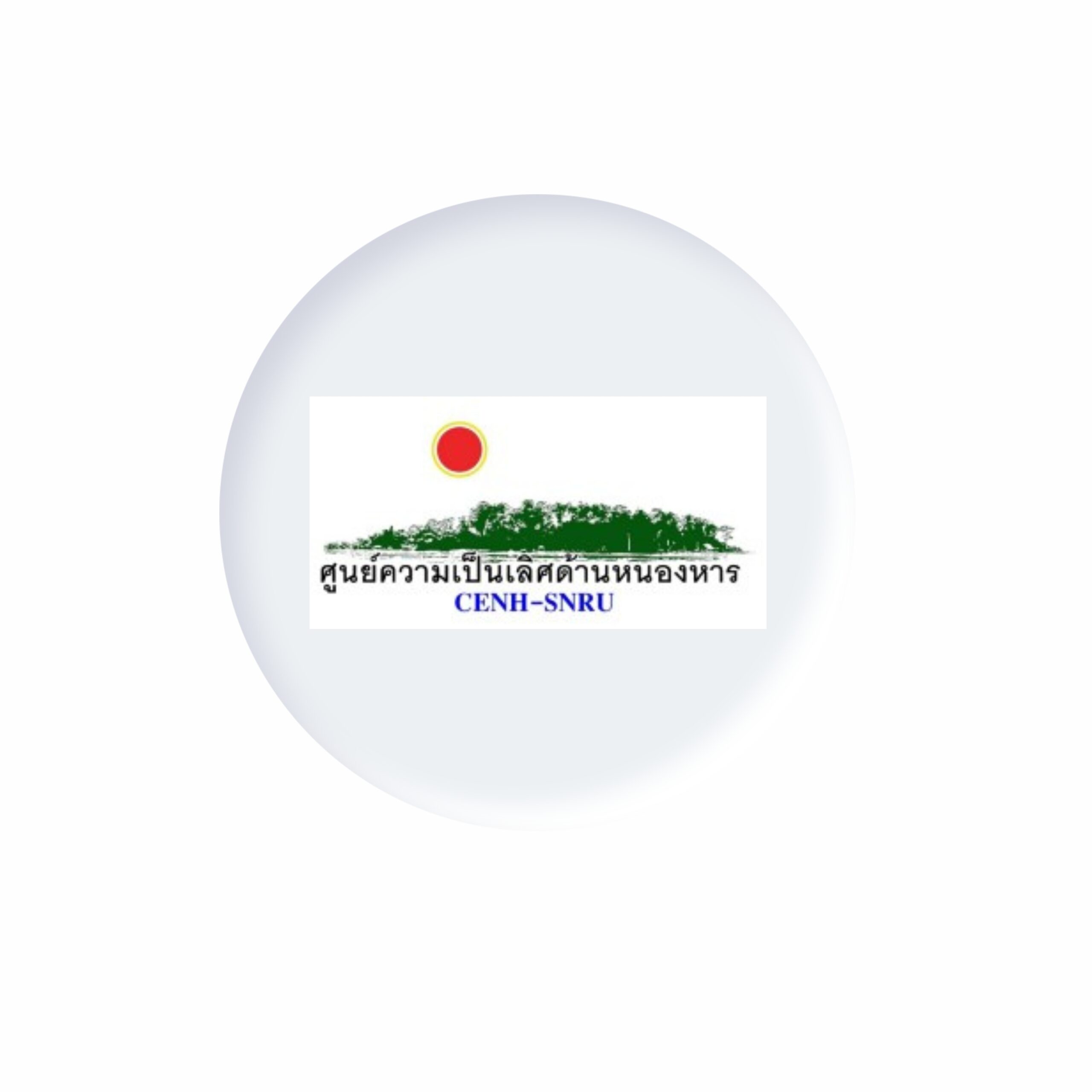 RDI PR (20) – RDI-SNRU